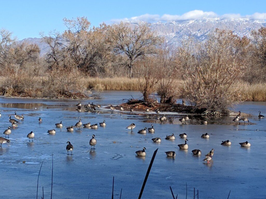 Rio Grande Nature Center State Park - Leones Properties